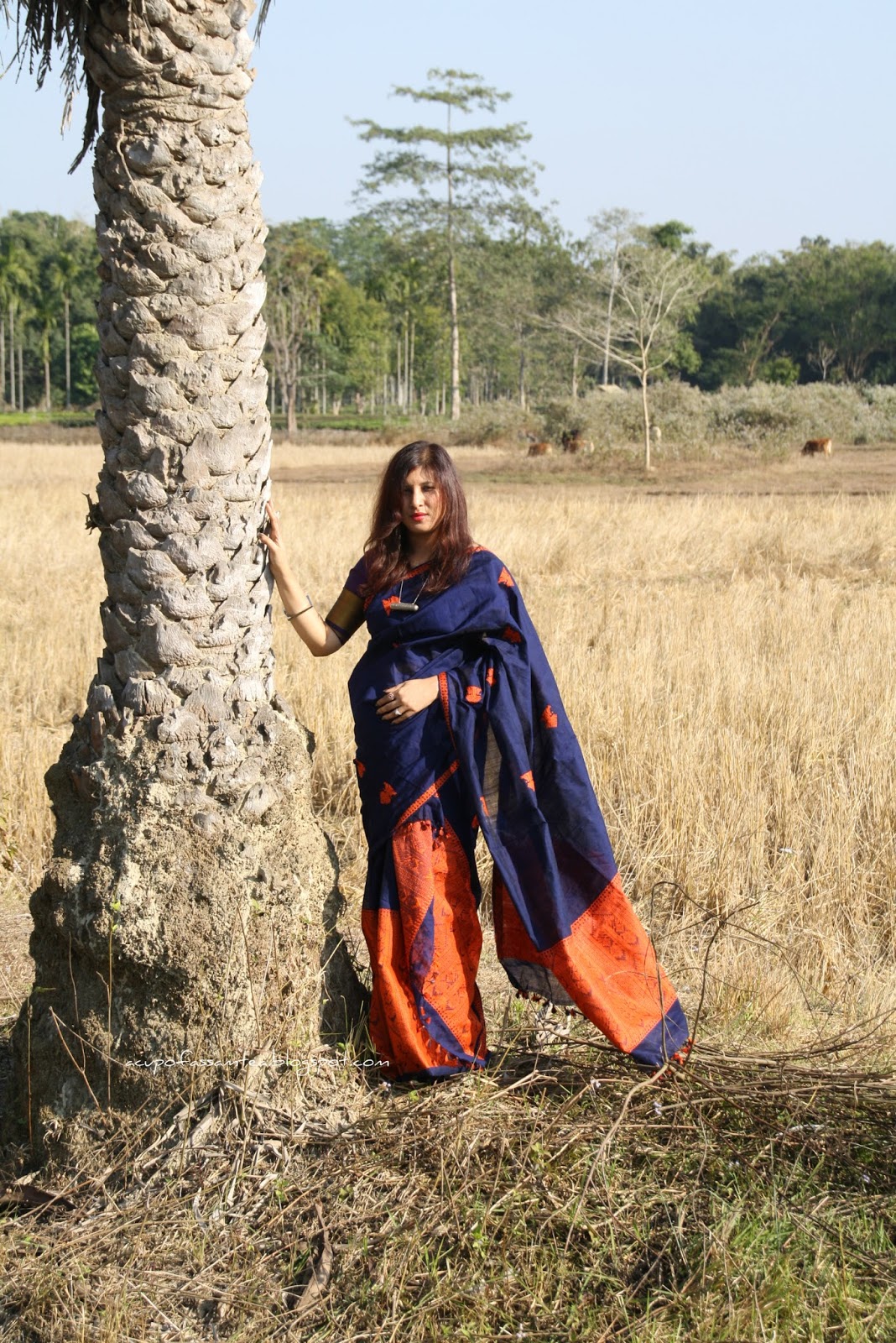 Glimpse of Assamese village scene