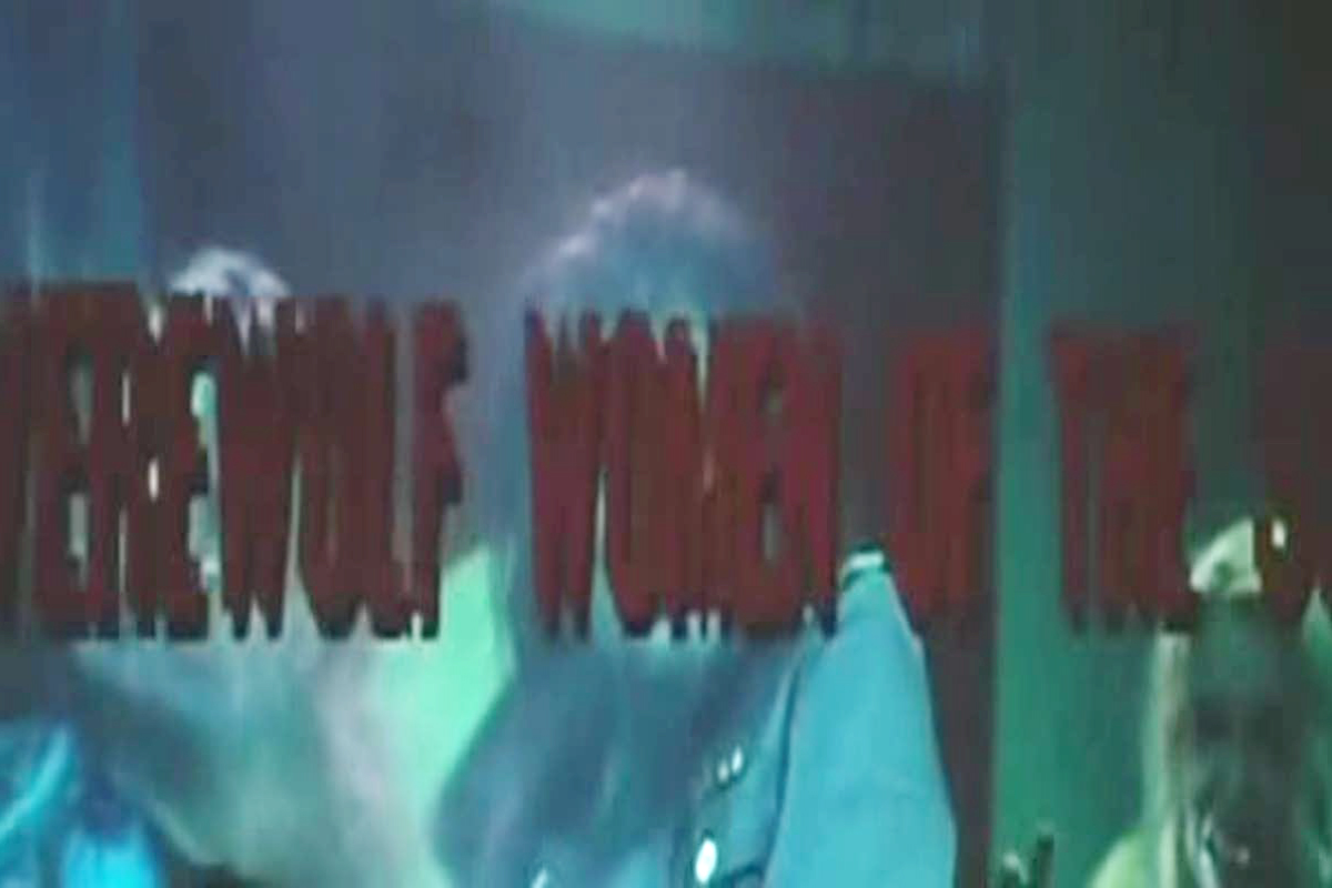 CULT MOVIES DOWNLOAD: WEREWOLF WOMEN OF THE SS (2007) GRINDHOUSE TRAILER