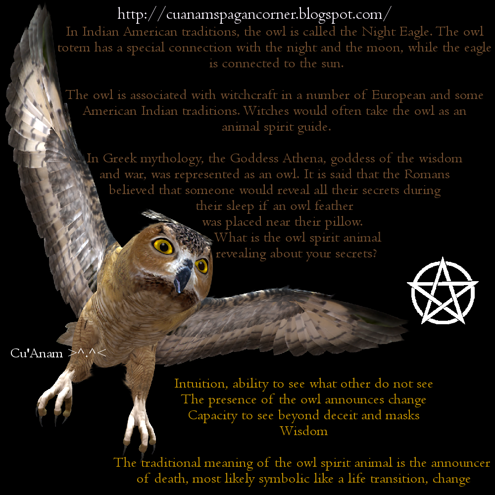 The Pagan Corner with Sin and Cu: Owl
