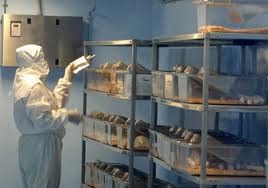 Donde estudiar: Qué es un bioterio