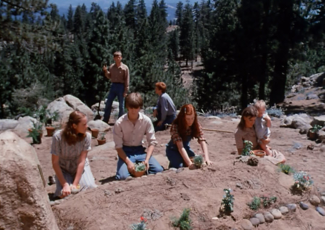 The Retro Rocket: Waltons 7.1: “The Empty Nest, Parts 1 and 2”