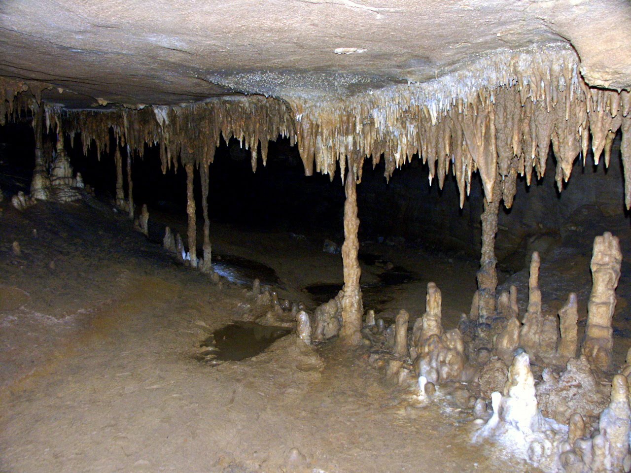 Southern Canyoneers: Fitton Cave: We batted .600