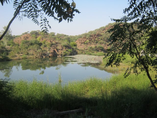 MY INDIA: Kankroli Temple- Kankroli Temple India, Dwarkadhish Temple of ...
