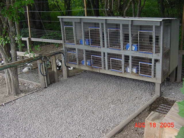 Java breeders: Java Breeding 101 part 2