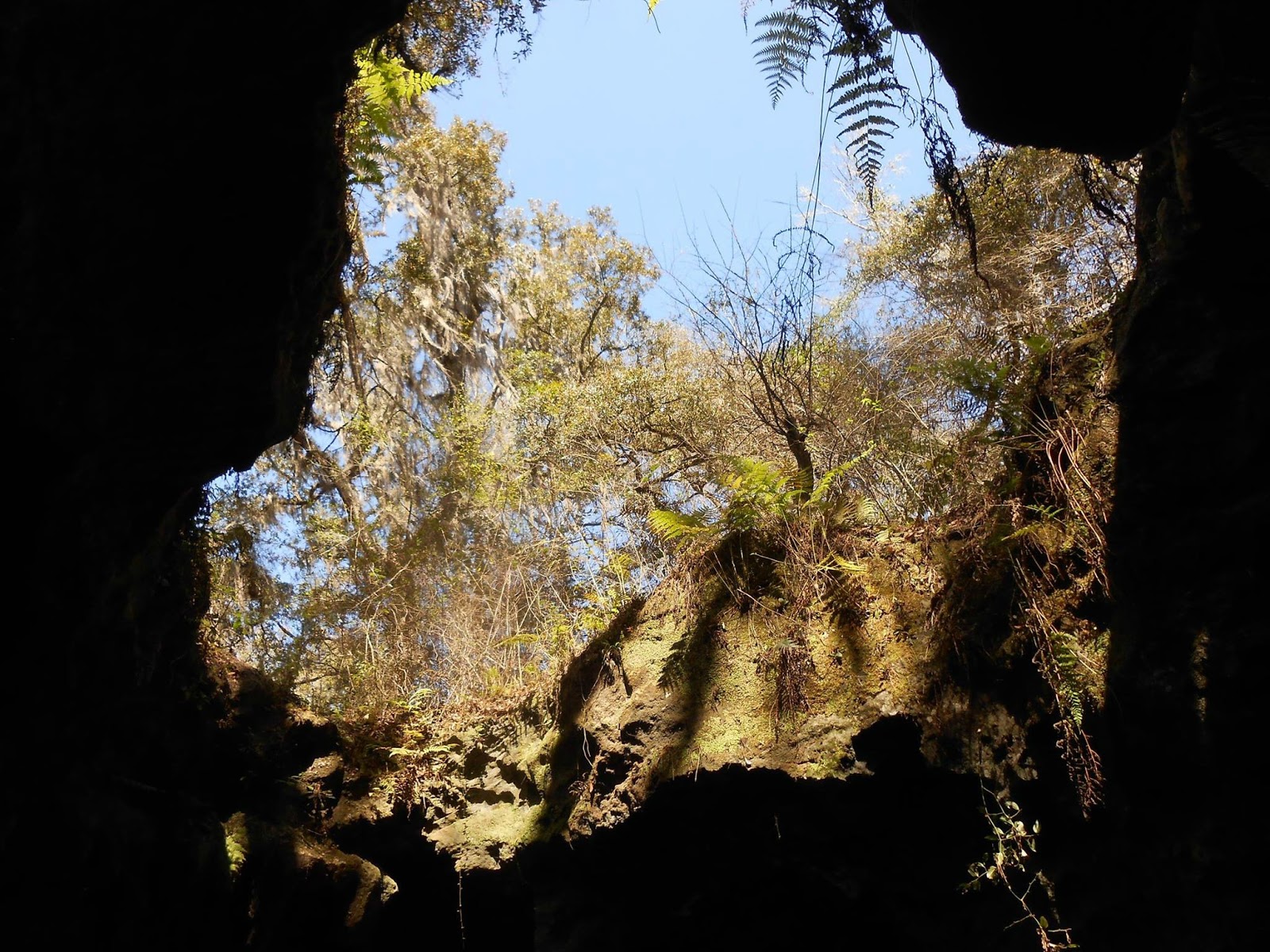Dames Cave: Cave Spelunking in Florida - Lost Girls Adventures