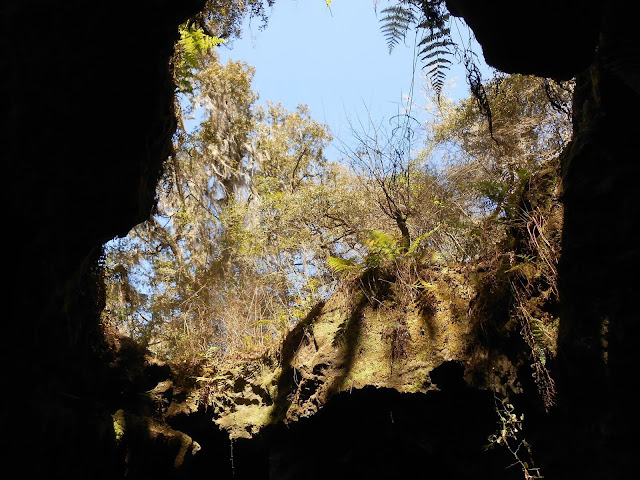 Dames Cave: Cave Spelunking in Florida - Lost Girls Adventures