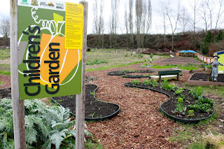 Washington Food Coalition News: Meet Our Members: Marra Farm's Giving ...