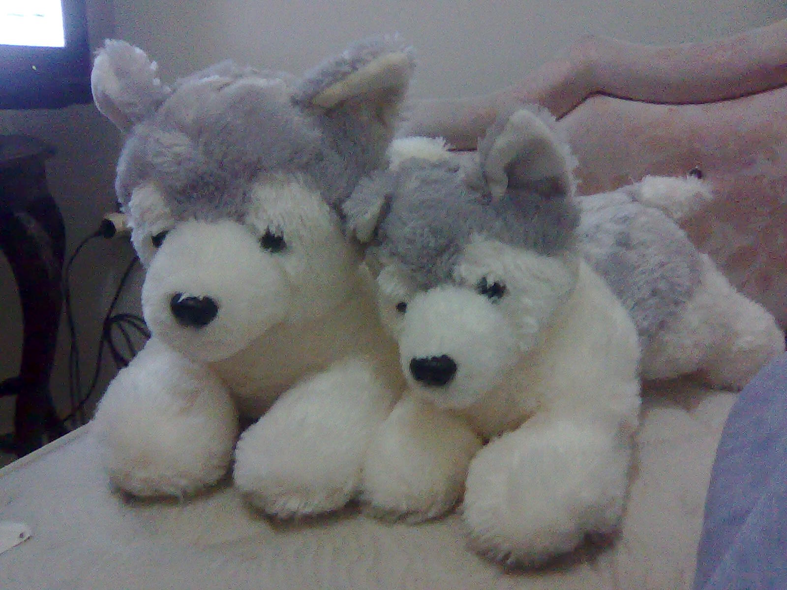 Everything: Koleksi Boneka Serigala atau Siberian Husky
