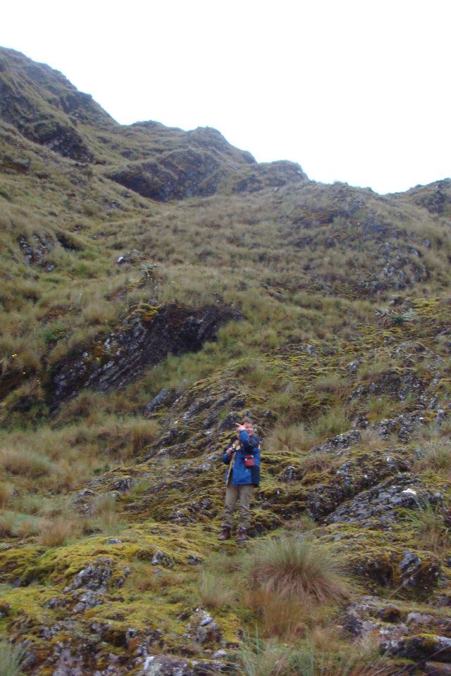 CEAC: CAMINO PRECOLOMBINO DEL YUNGA CRUZ
