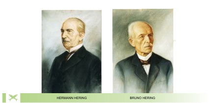 C. C. 25 de Julho de Blumenau: Semana de Aniversário do Museu Hering e ...