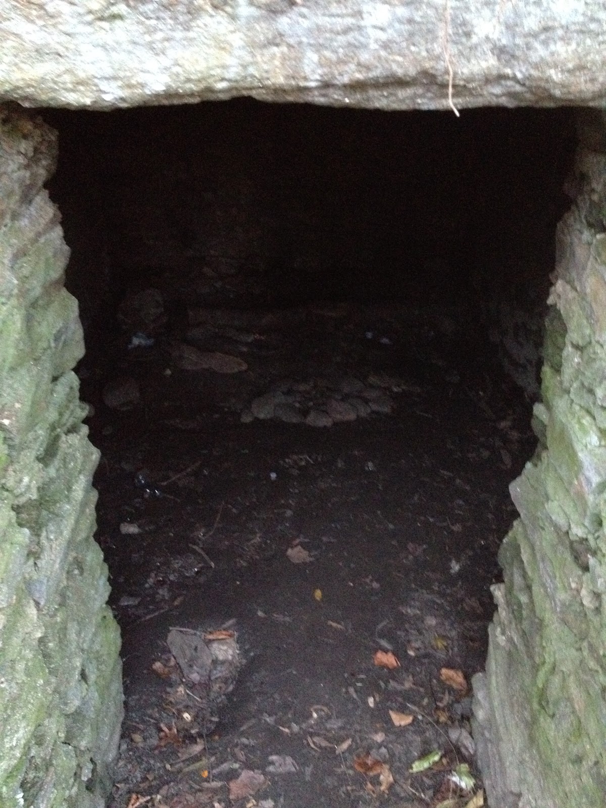 PHILLY TREES: THE CAVE OF KELPIUS