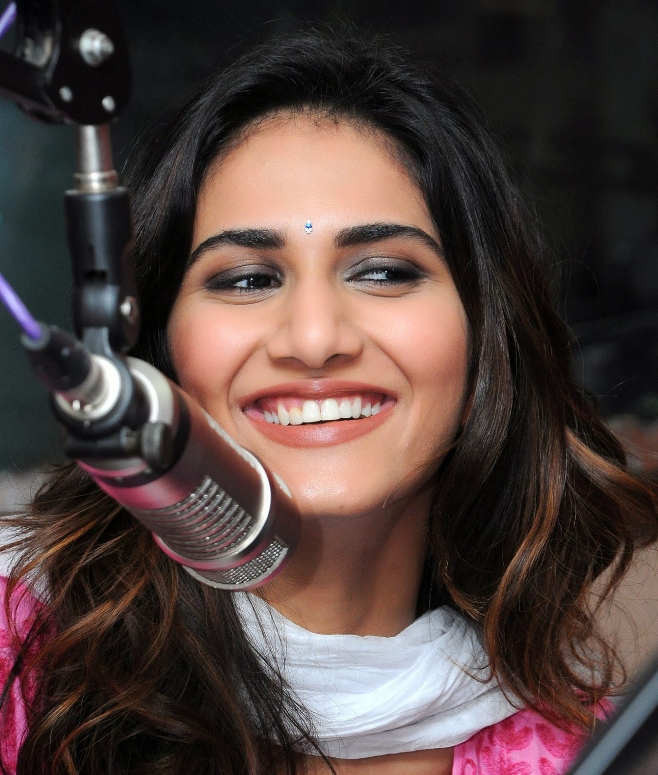 Vaani Kapoor During The Promotion Of Telugu Film “Aaha Kalyanam” At ...