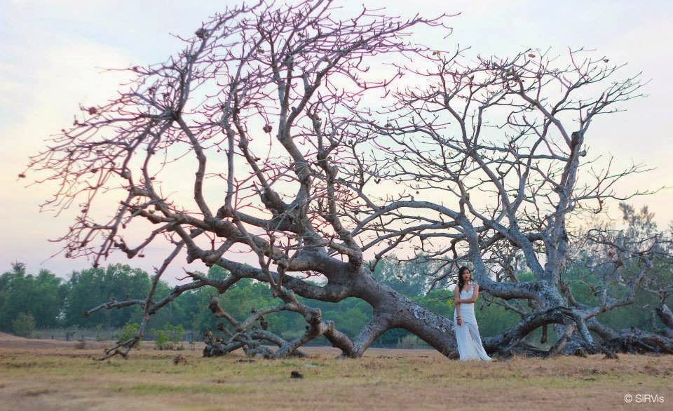 always @ your SiRVis