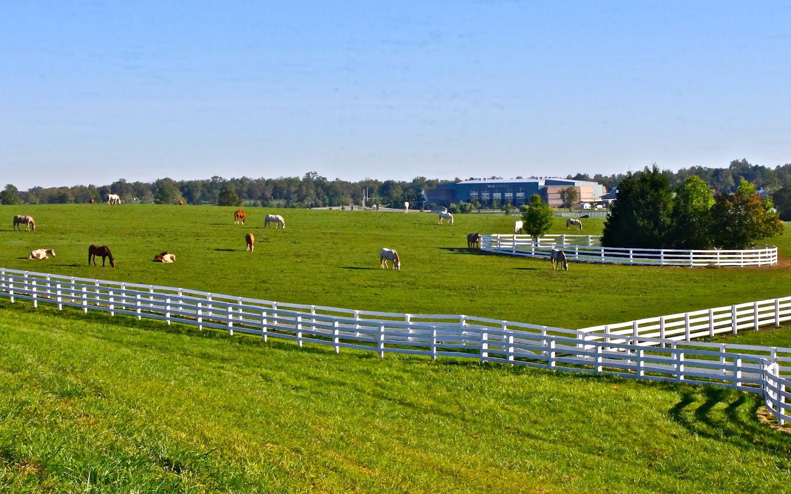 Champagne Wishes and RV Dreams: Lots to see in Lexington!