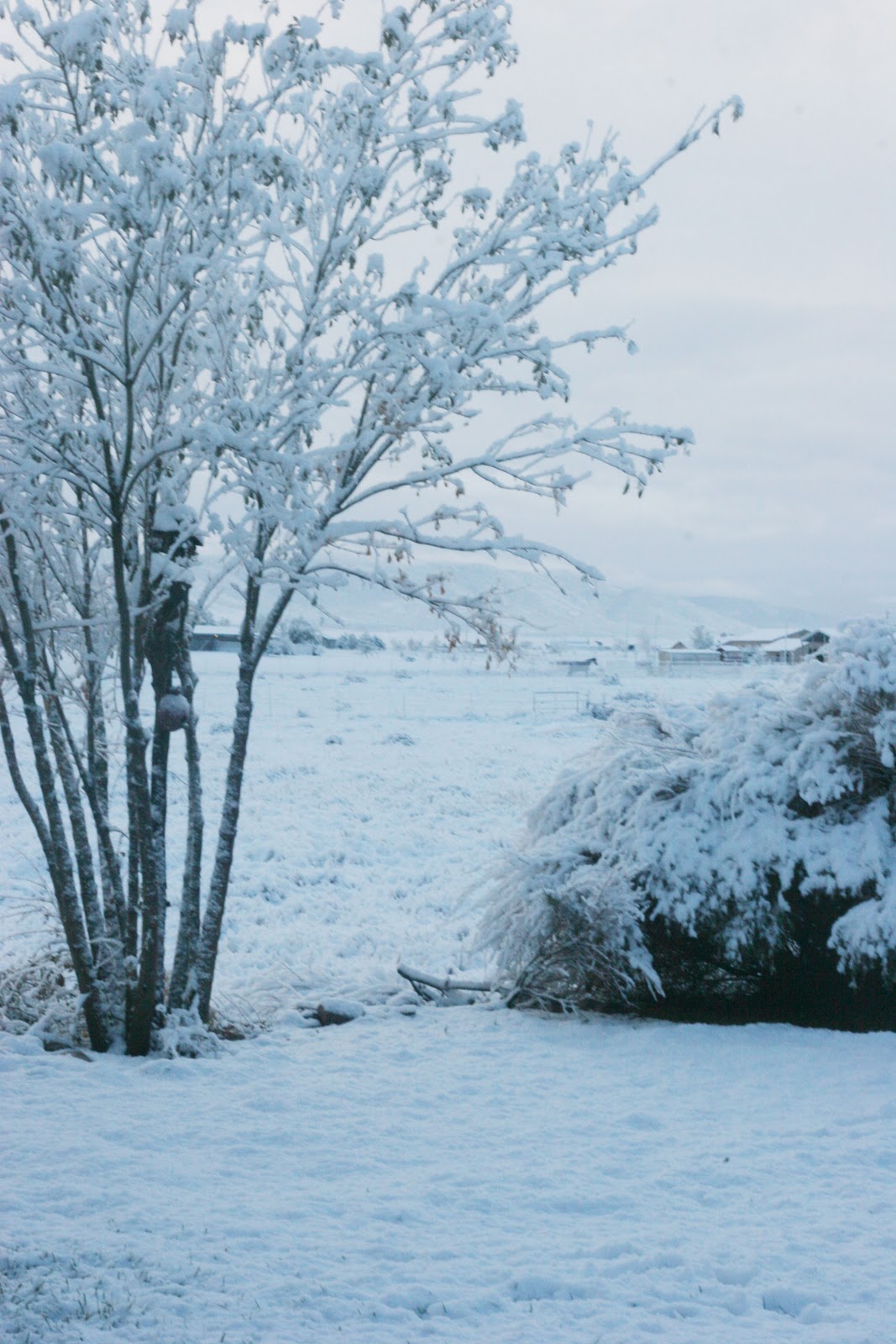 The Nelson Family Blog