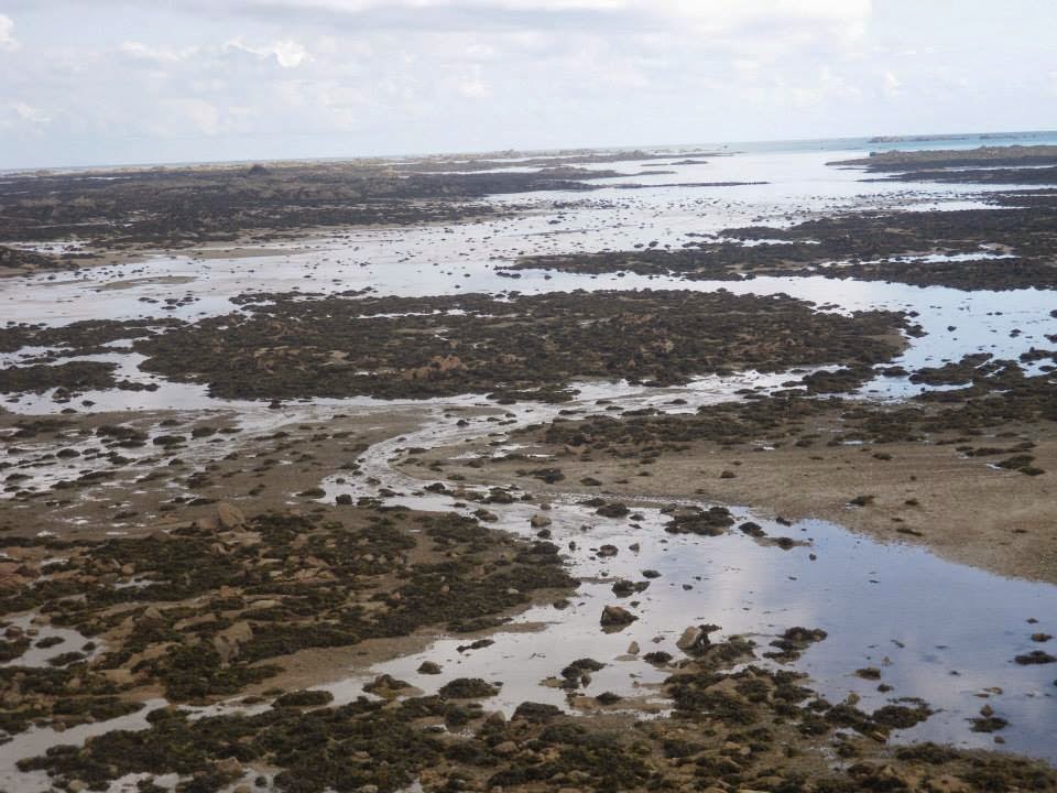 Tony's Musings: A Visit to La Rocque