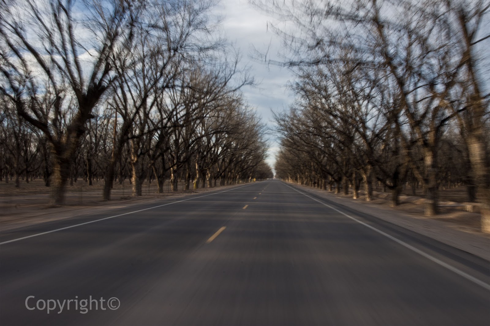 Kaleb Davis Photograpghy