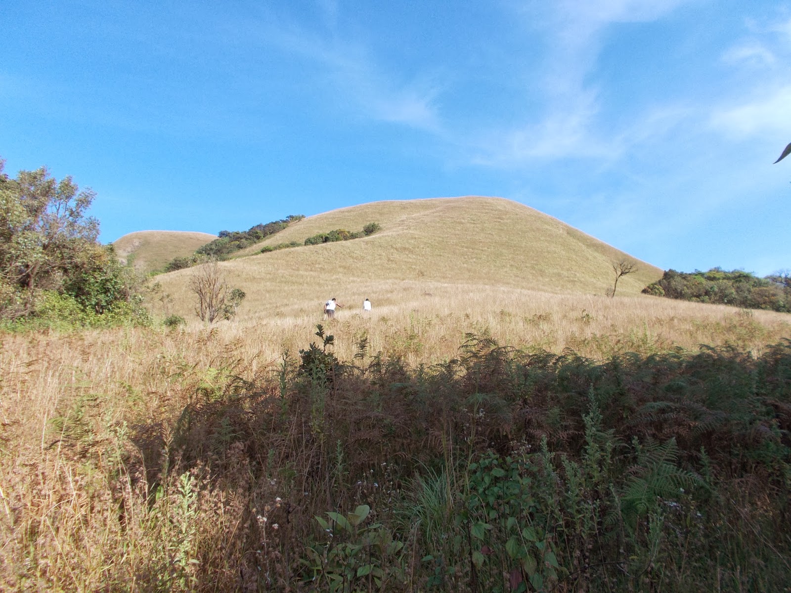 Trek to Nishani Betta alias Nishani Motte