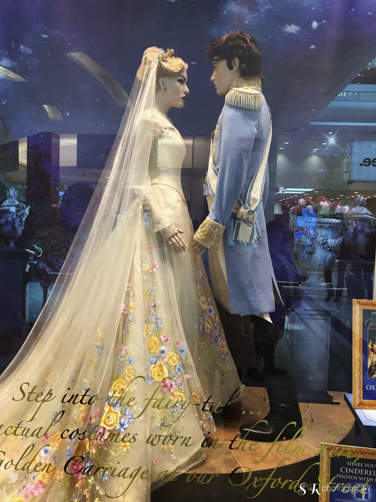 Cinderella Costume On Display | Stephanie