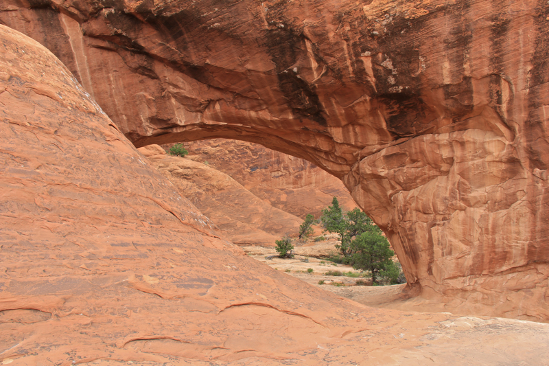 Colorado Lifestyle: Arches: Devil's Garden ... Primitive Trail Loop