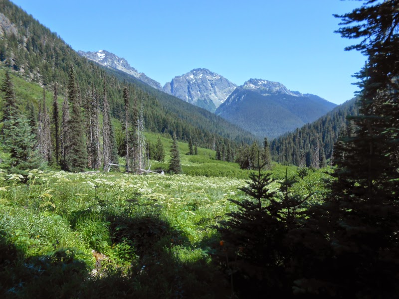 Val-Di-Ree: Obstruction Point to Dosewallips River, July 23-26, 2013