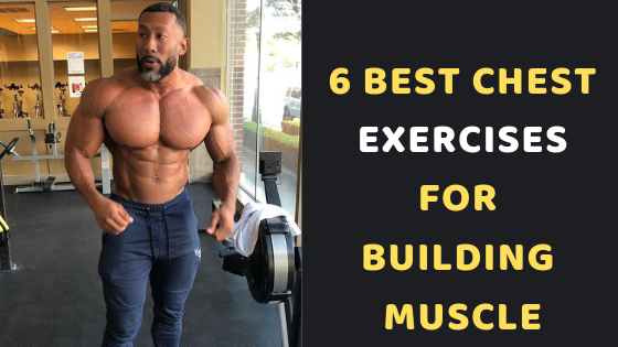 Fitness & Workout: 6 Best Chest Exercises For Building Muscle