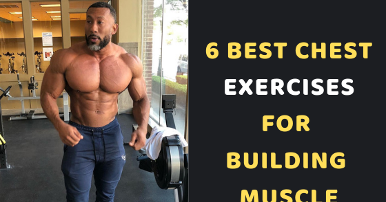 Fitness & Workout: 6 Best Chest Exercises For Building Muscle