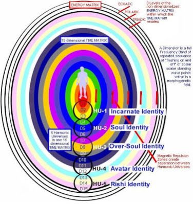 15-Dimensional Anatomy