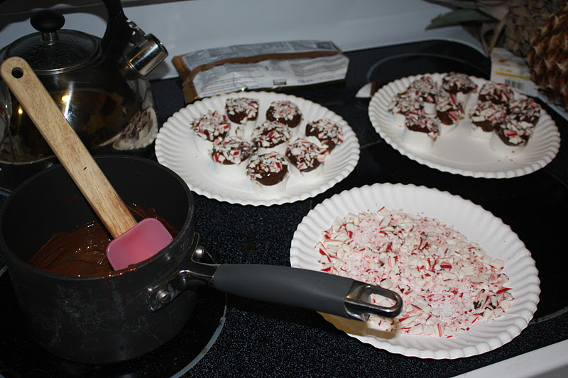 Skip to the Lue: homemade hot chocolate, and peppermint mallow's