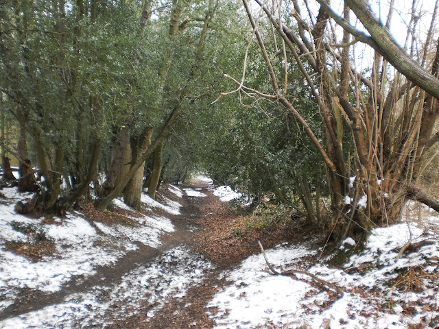Las rutas de Nu: Gerrards Cross - Bulstrode Park