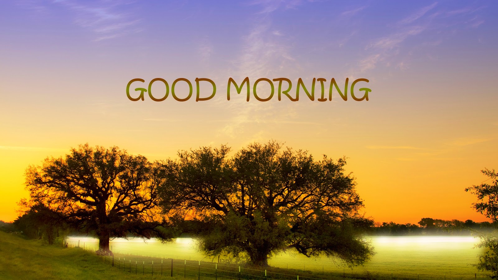 GOOD MORING Hd WALLPAPERS - Pic Wallpaper HD