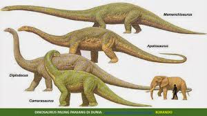 Bentuk fisik dan nama Dinosaurus