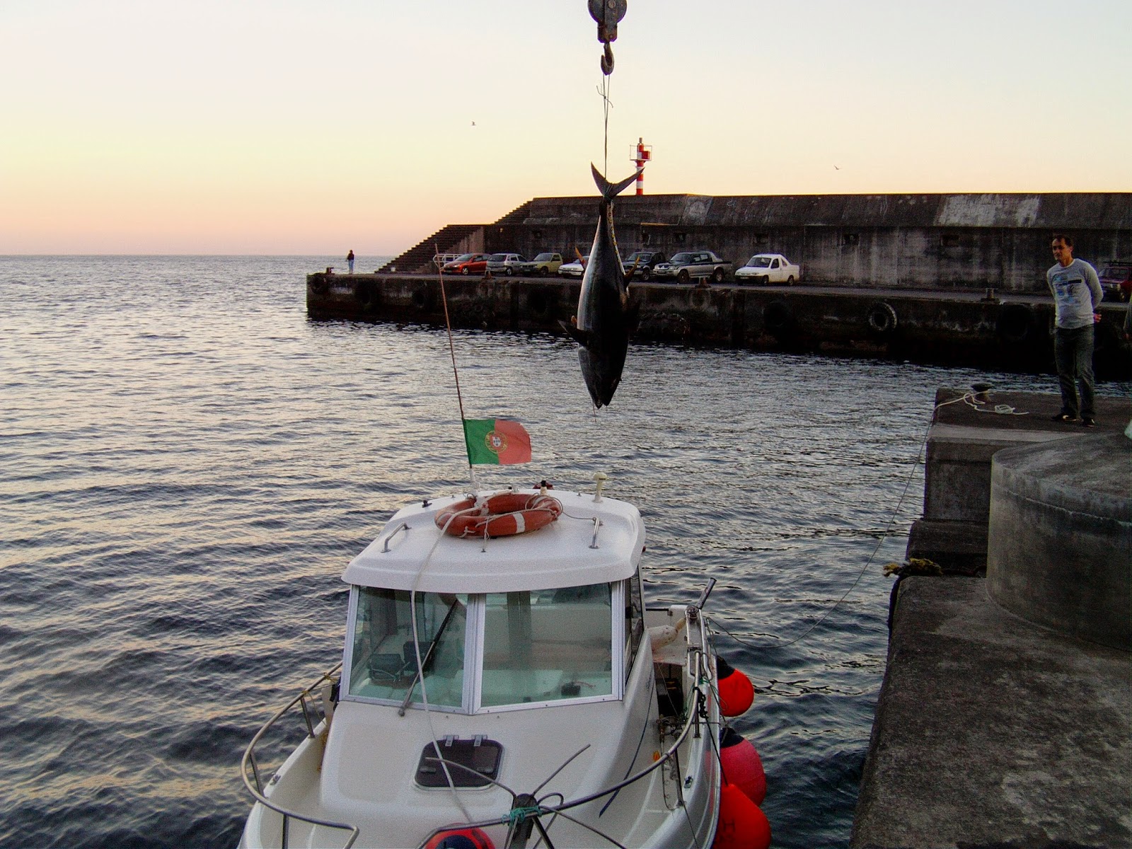 PORTO DA CALHETA: Grande Pescaria do Noah