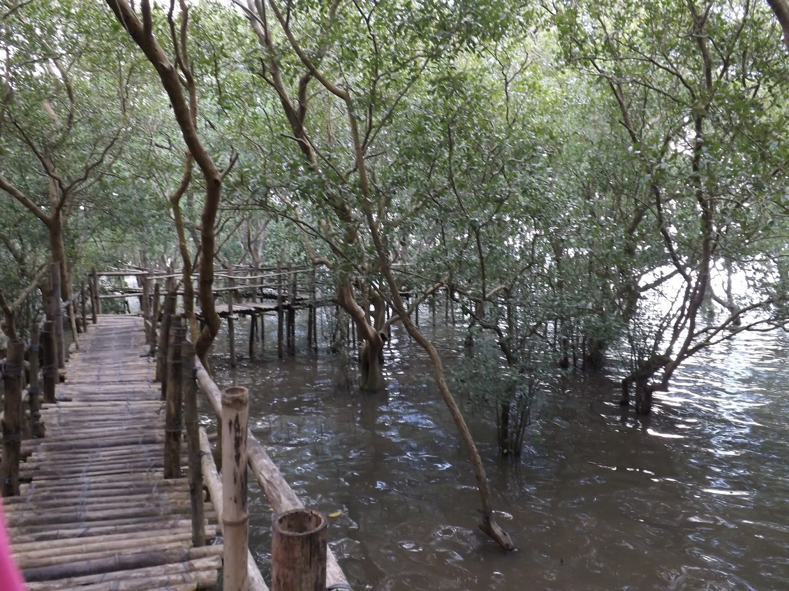 BALARING MANGROVE ECO-TOURISM PARK - Touristang Pobre