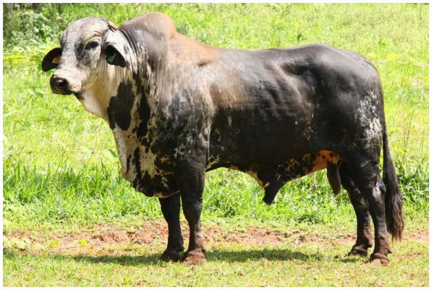 Leer atenta y cuidadosamente la siguiente guía por favor!