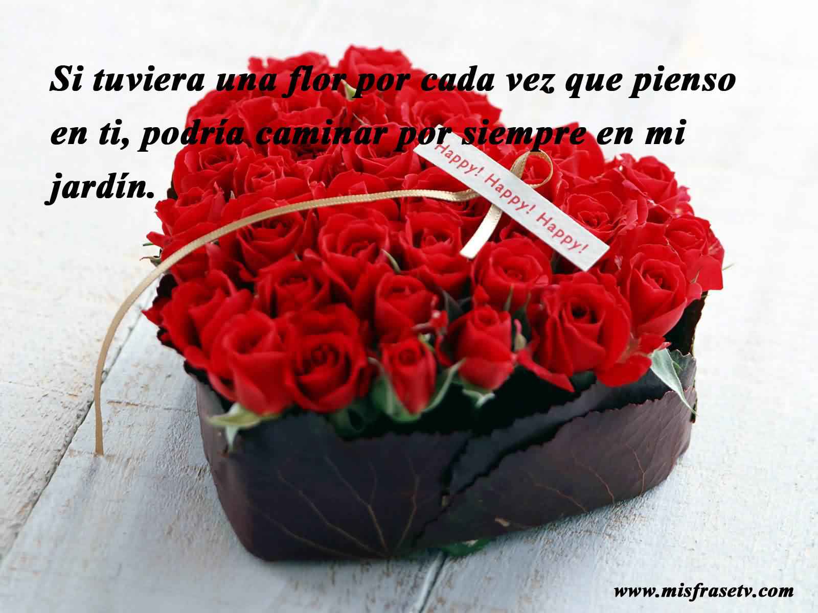 Rosas rojas de amor con frases romanticas - Imagui