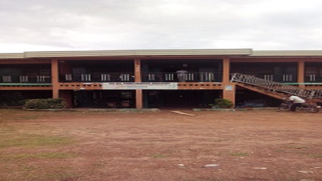 YEKA'S ADVENTURES: RICE FARMING IN ABAKALIKI