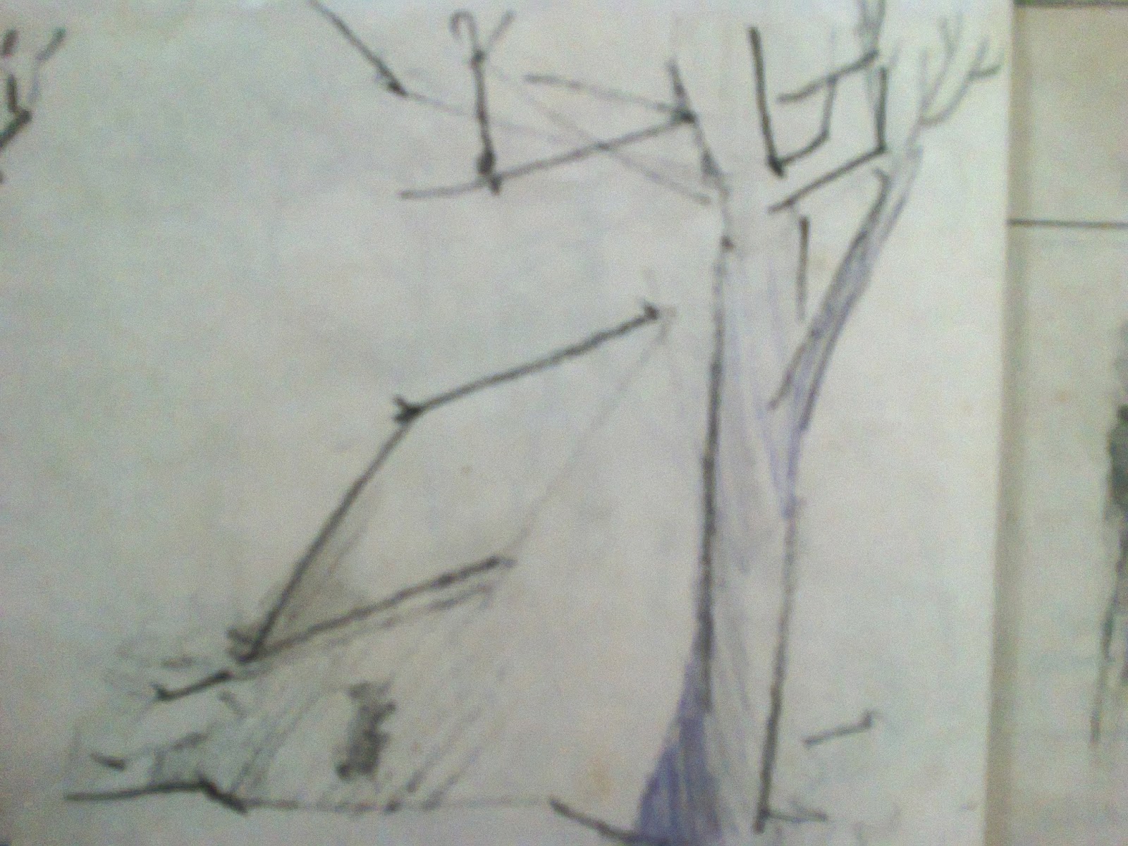 dasar menggambar: Jenis Jenis Sketsa Pensil