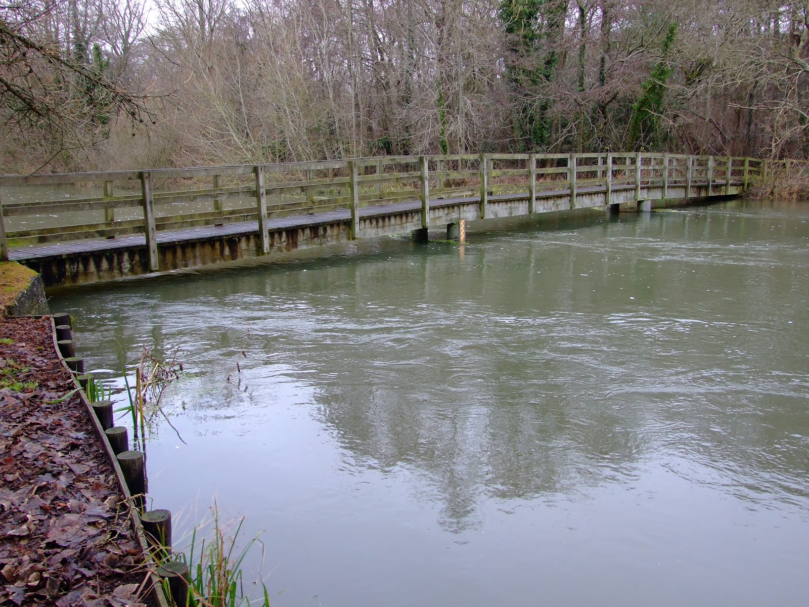 Canoeing and Kayaking on The River Kennet: Water levels up and down the ...