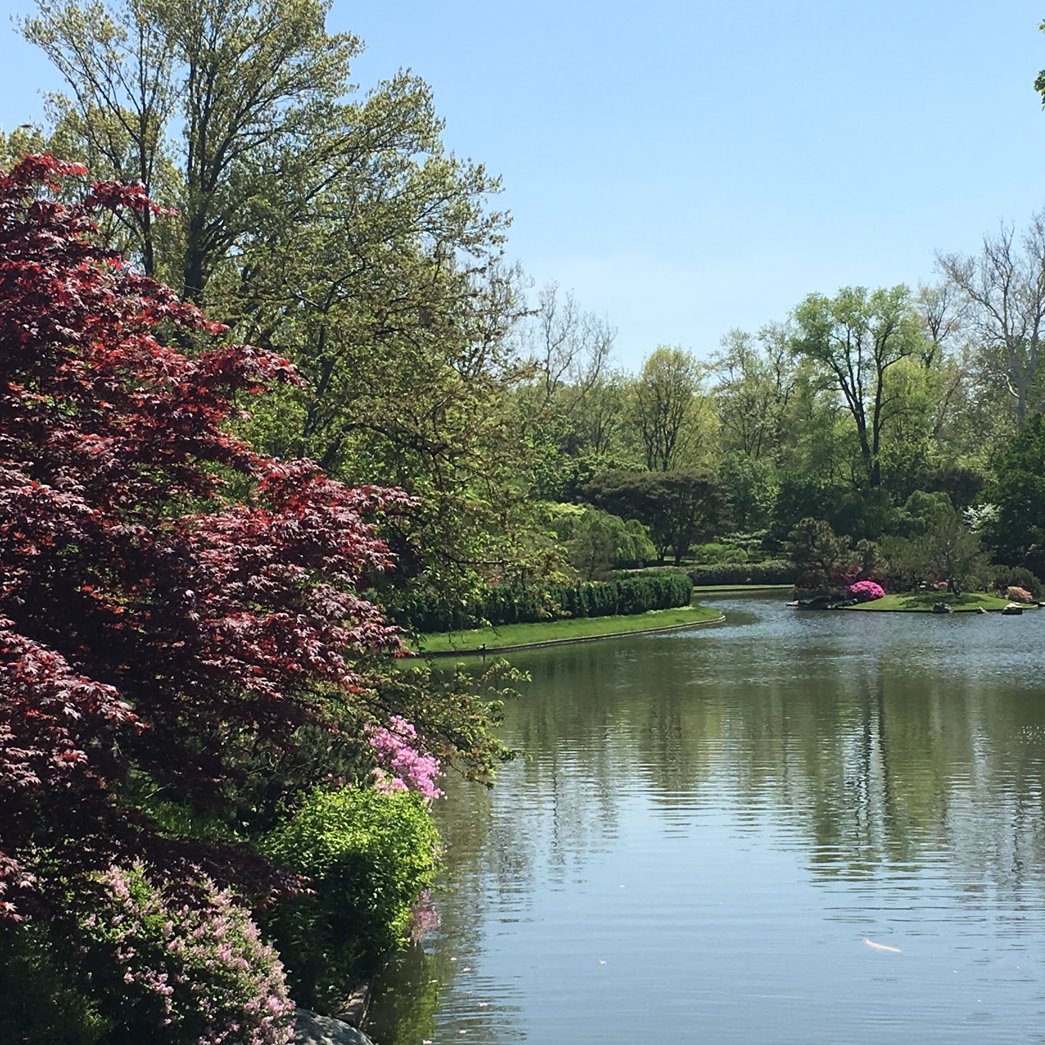 Vintage Grace: Gathering at the St Louis Botanical Gardens