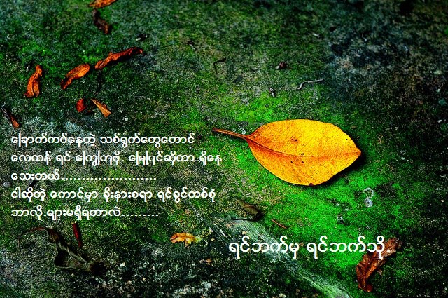 ရင္ဘက္မွ ရင္ဘက္သို. (Poet- Lin Htet Myint Zaw): ကဗ်ာတို ပံုရိပ္ (၁၈)