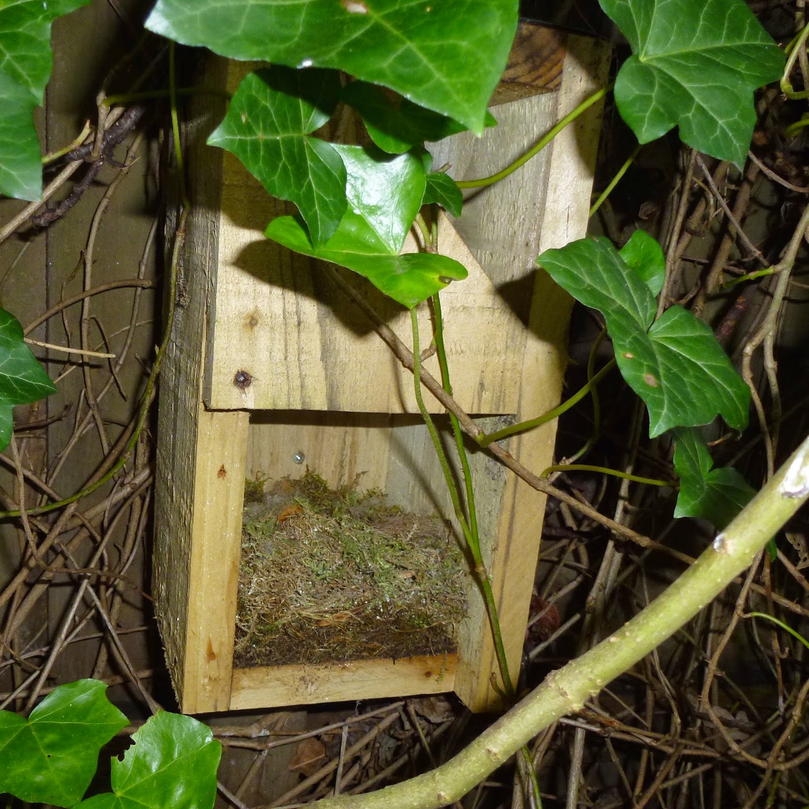 TrogTrogBlog: Nest boxes