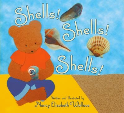 Book Buddies: All About Seashells