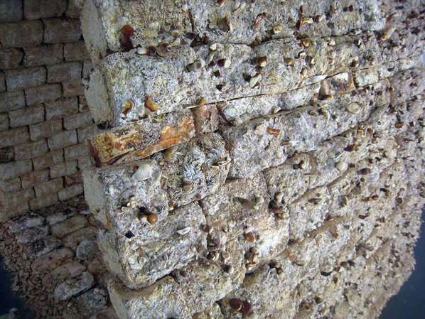 Μετά την Κρίση: Μητρόπολη της φύσης: Αρχιτεκτονική για το μέλλον ...