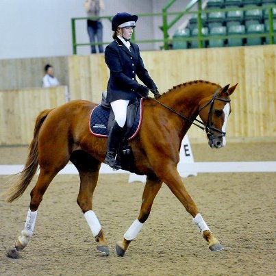 Olympic Equestrian Dressage Tickets: Olympic Equestrian Dressage Rider ...