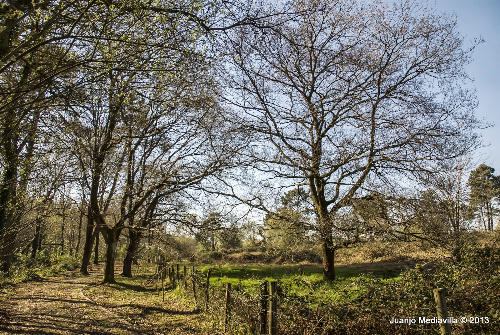 Fotografía Juanjo Mediavilla: Zamudio (Bizkaia)