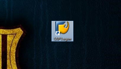 How to Configure SAP Logon 7.30 - How To SAP