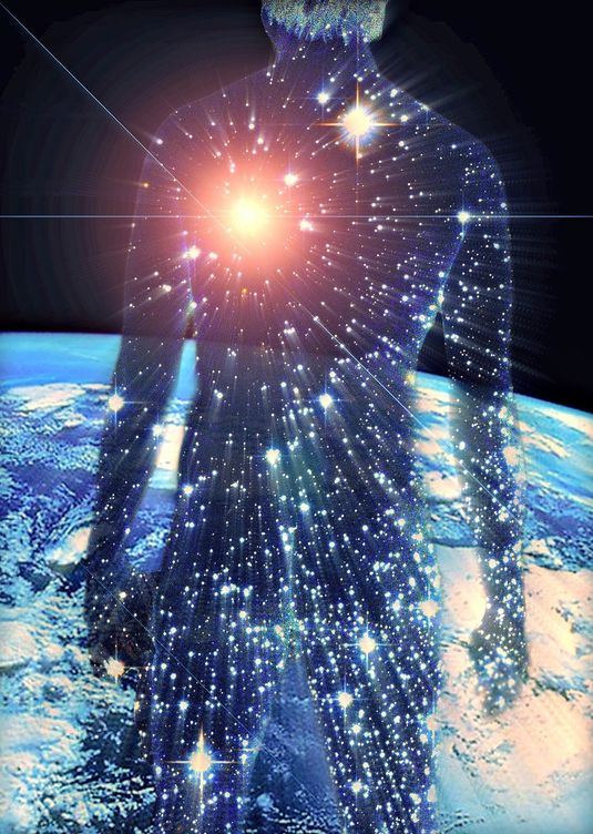 The Wild Reed: Jesus: Our Guide to Mystical Love in Action