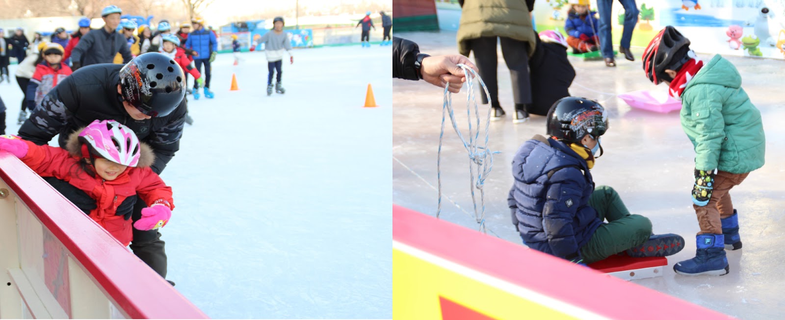 Enjoy Winter and Master Daegu Ice Skating & Sledding