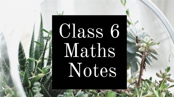 Whole Numbers Class 6 Notes Whole Numbers Class 6 Notes
